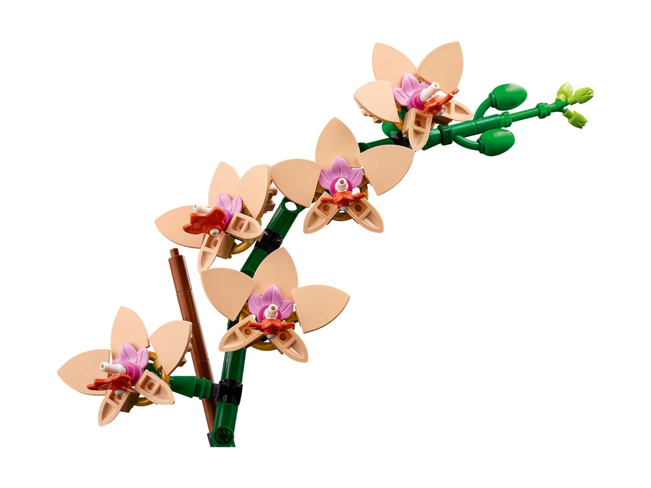LEGO 10343 Botanicals Mała orchidea | zklocków.pl