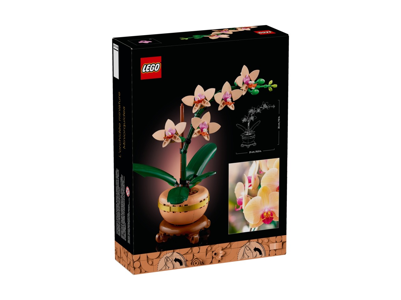 LEGO 10343 Botanicals Mała orchidea | zklocków.pl