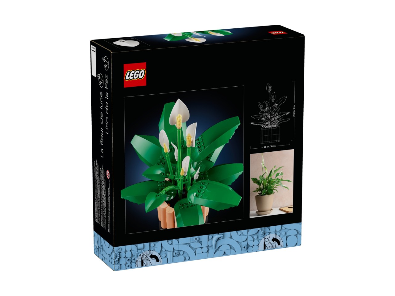 LEGO 11504 Botanicals Skrzydłokwiat | zklocków.pl