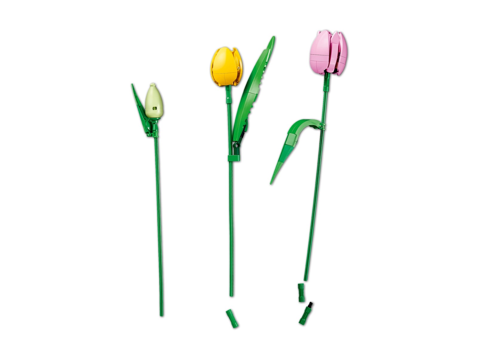 LEGO 11501 Botanicals Bukiet tulipanów | zklocków.pl