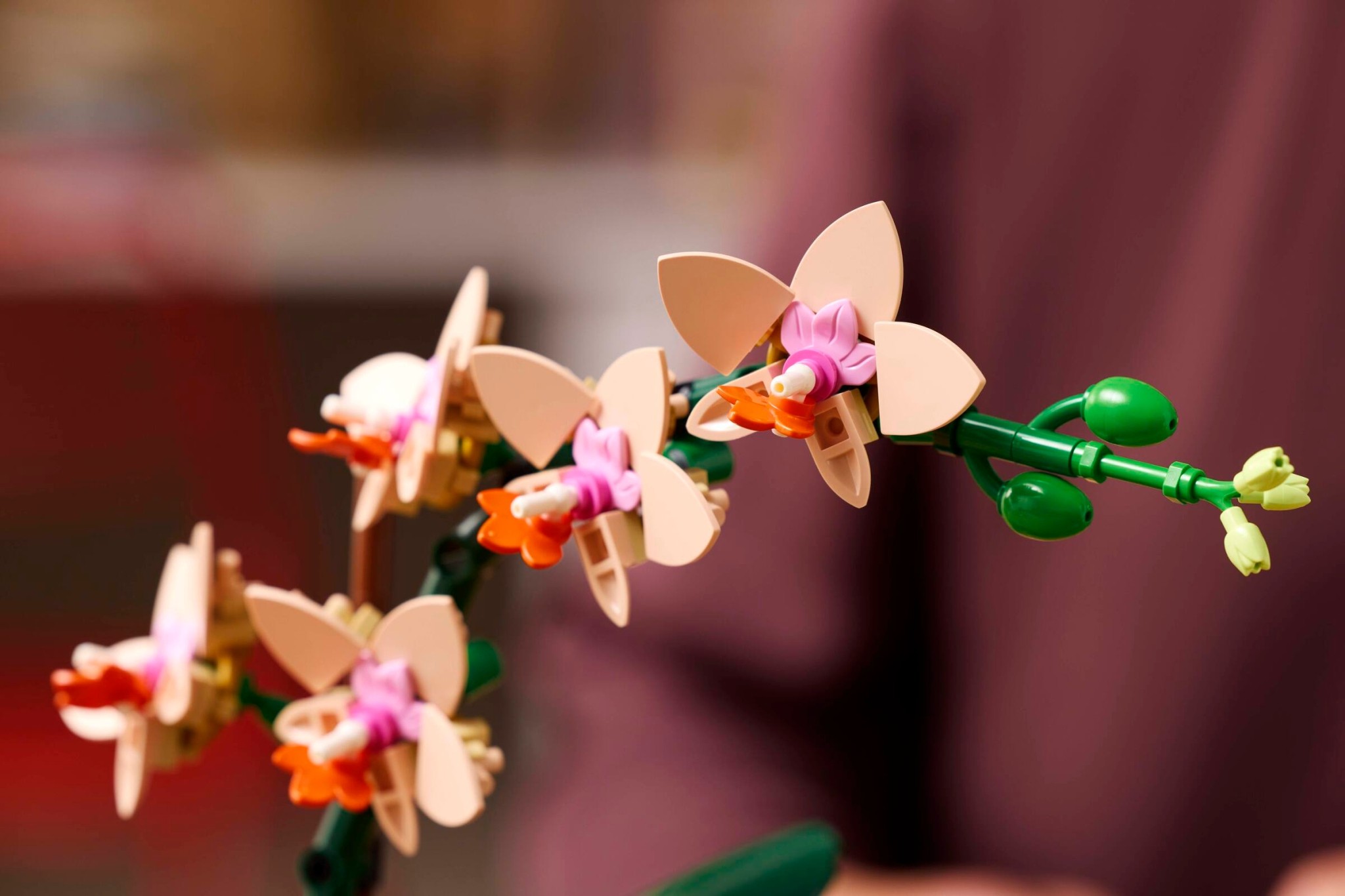 LEGO 10343 Botanicals Mała orchidea | zklocków.pl