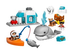 LEGO 10803 Duplo Arktyka - porównaj ceny | zklocków.pl