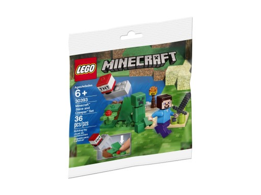 LEGO 30393 Minecraft Steve and Creeper Set | zklocków.pl