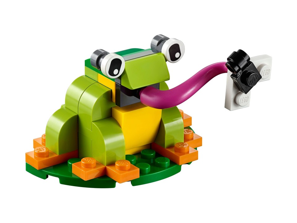 LEGO 40326 Żaba - porównaj ceny | zklocków.pl