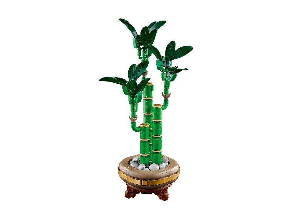 LEGO 10344 Botanicals Dracena sandera | zklocków.pl
