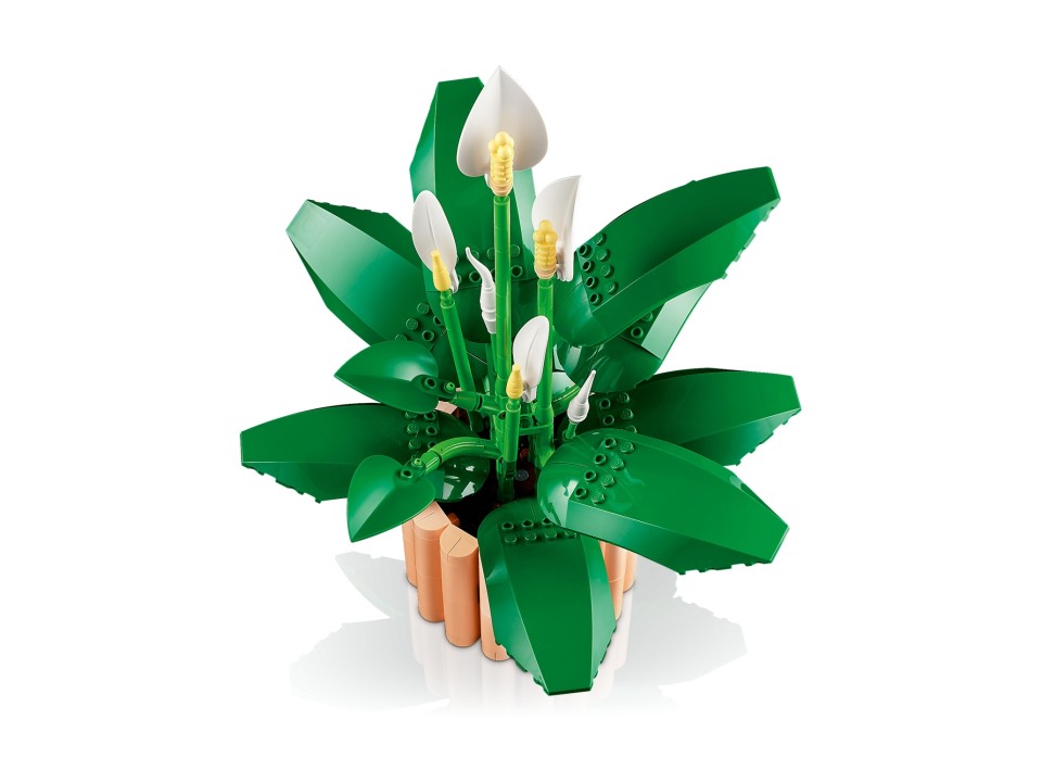 LEGO 11504 Botanicals Skrzydłokwiat | zklocków.pl
