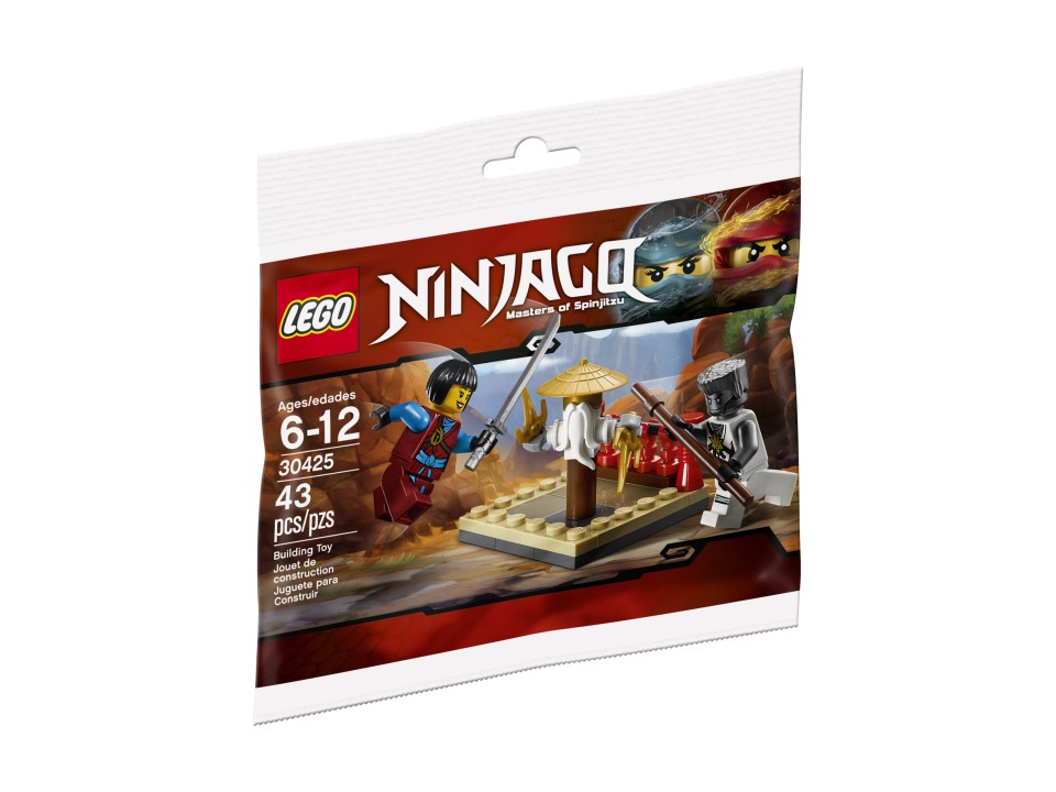 LEGO 30425 NINJAGO CRU Masters' Training Grounds